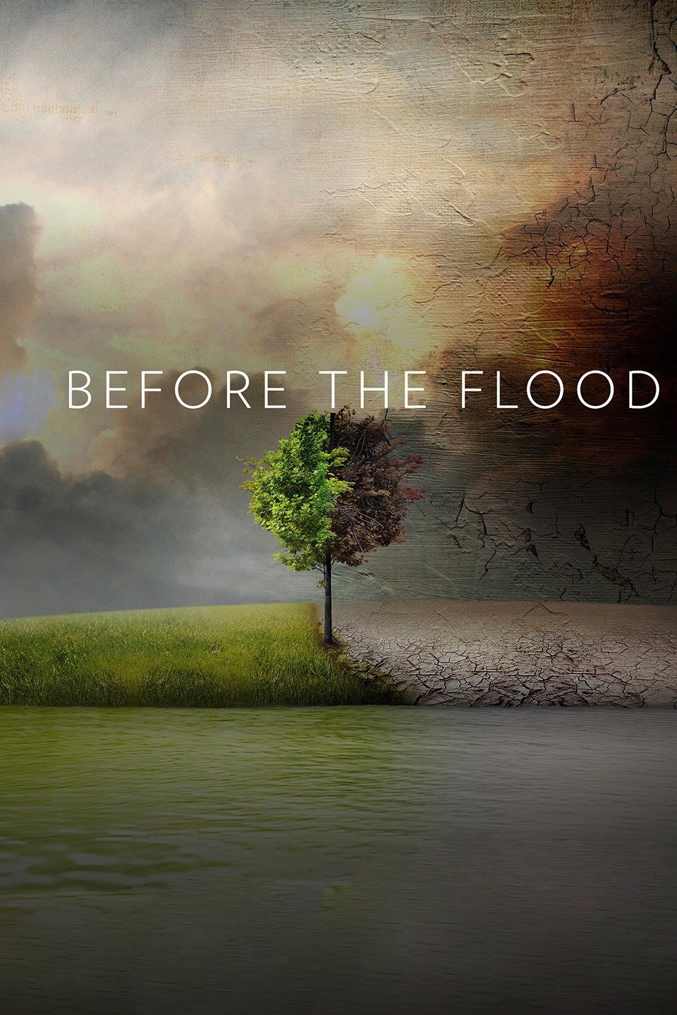 Before the Flood - Darien Land Trust